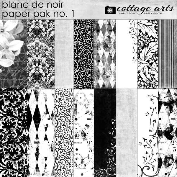 Blanc De Noir Paper Pak 1 | Digital Art