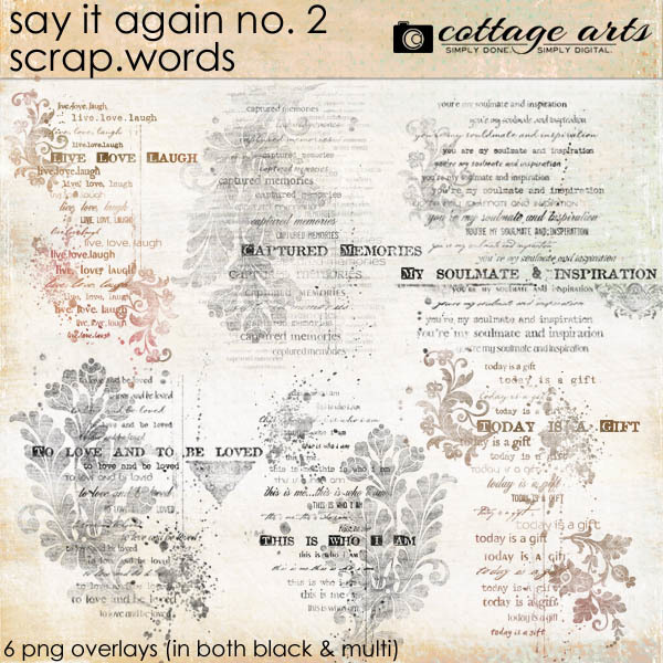 Say It Again 2 Scrap.words | Digital Art