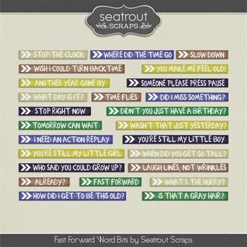 Fast Forward Word Bits | Digital Art