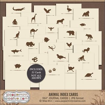 Go Wild Animal Index Cards | Digital Art