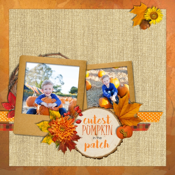 Colors Of Autumn | Digital Art