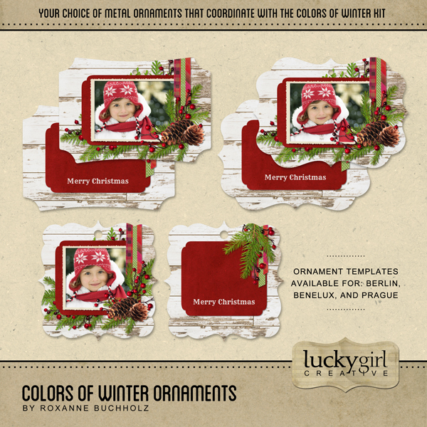 Colors Of Winter Ornaments | Digital Art