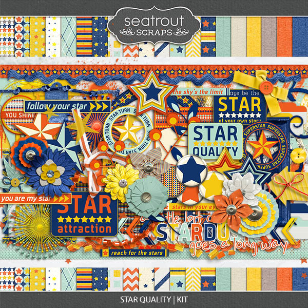Star Quality | Digital Art