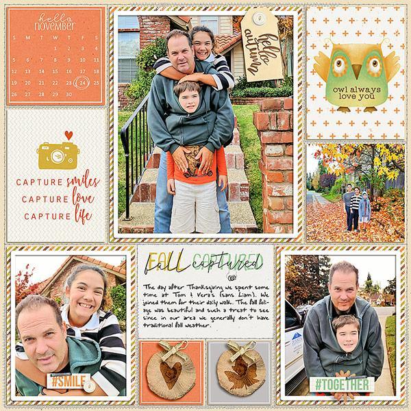 Photo Focus 2018 - Bundle | Digital Art