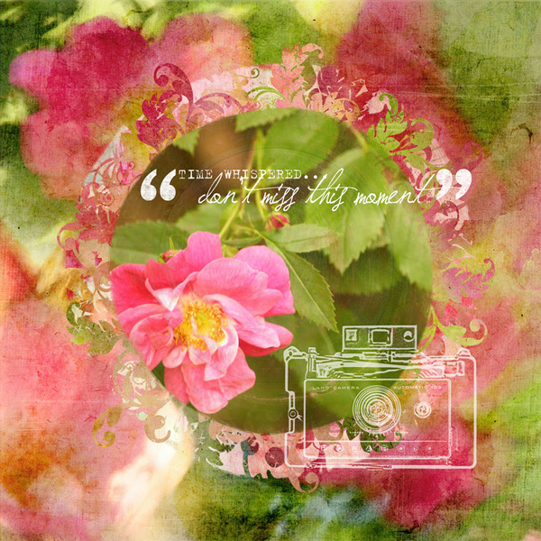 Artful Capture Element Pak | Digital Art