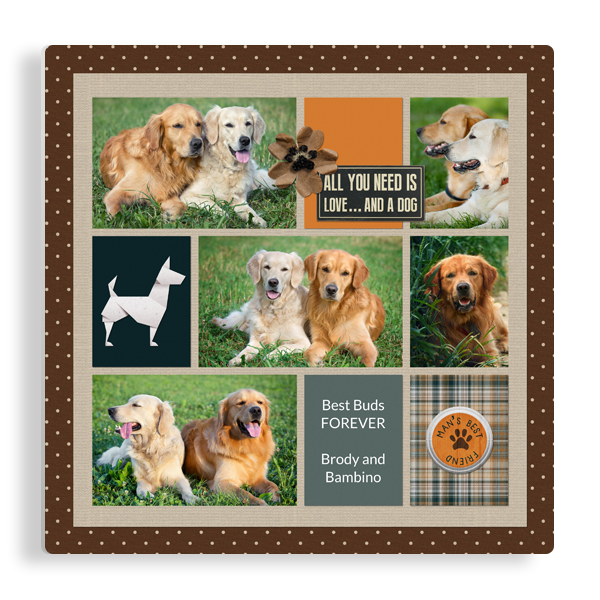 Woof Panel | Metal Wall Panel | FOREVER.com