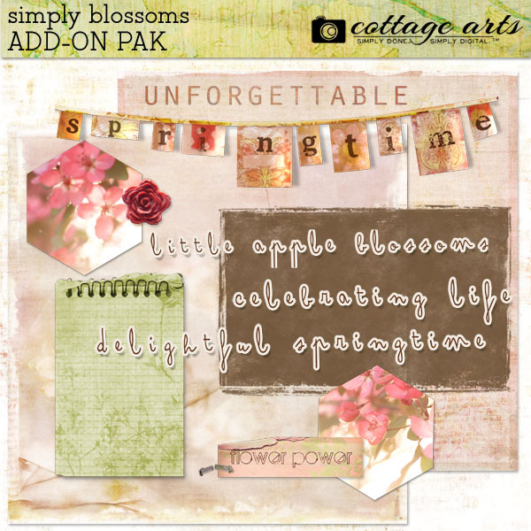 Simply Blossoms Collection | Digital Art