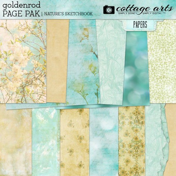 Goldenrod Collection | Digital Art