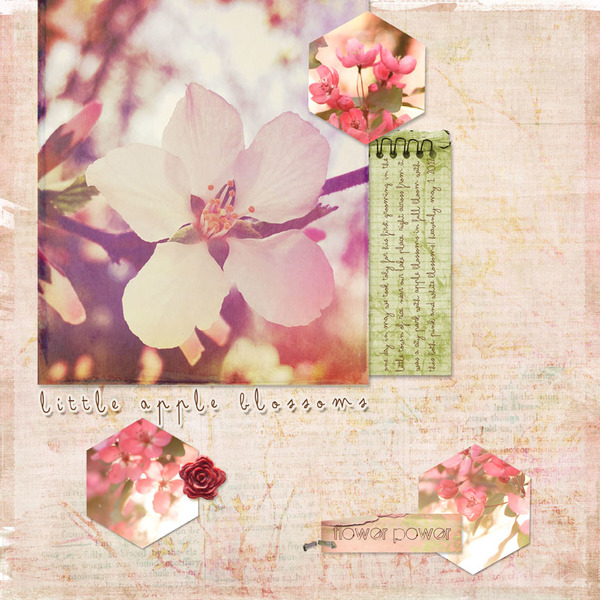 Simply Blossoms Collection | Digital Art