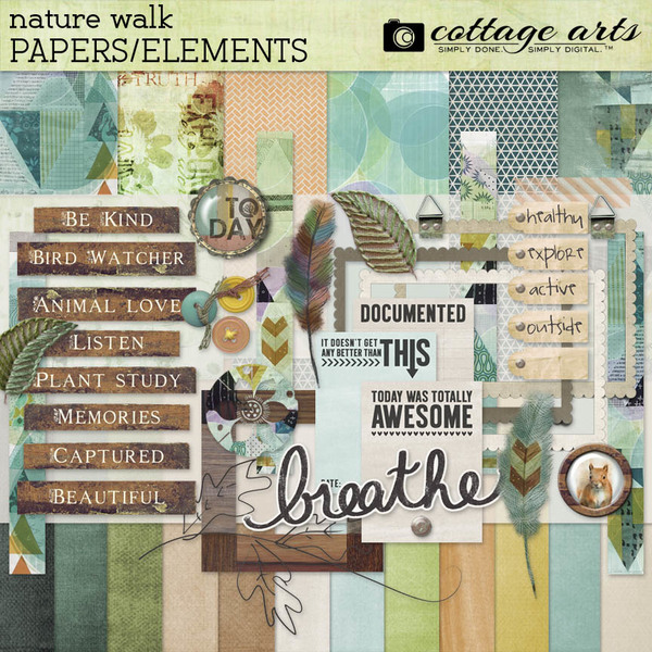 Nature Walk Collection | Digital Art