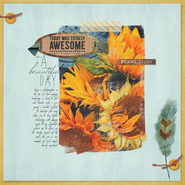 Nature Walk Collection | Digital Art
