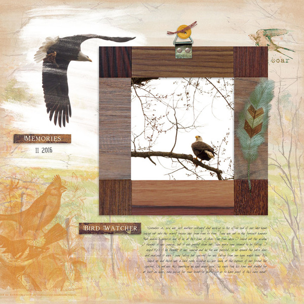 Nature Walk Collection | Digital Art