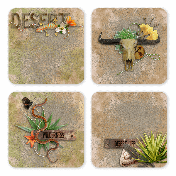Escape to the Desert Coasters | Coaster Set | FOREVER.com