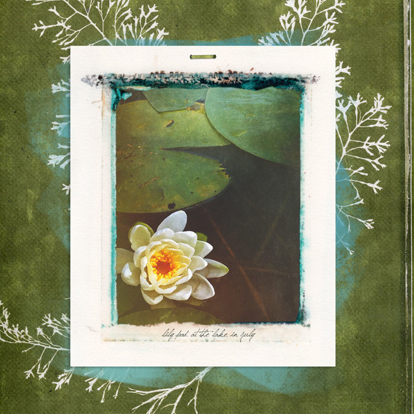 Cyanotypes Artisan Papers | Digital Art