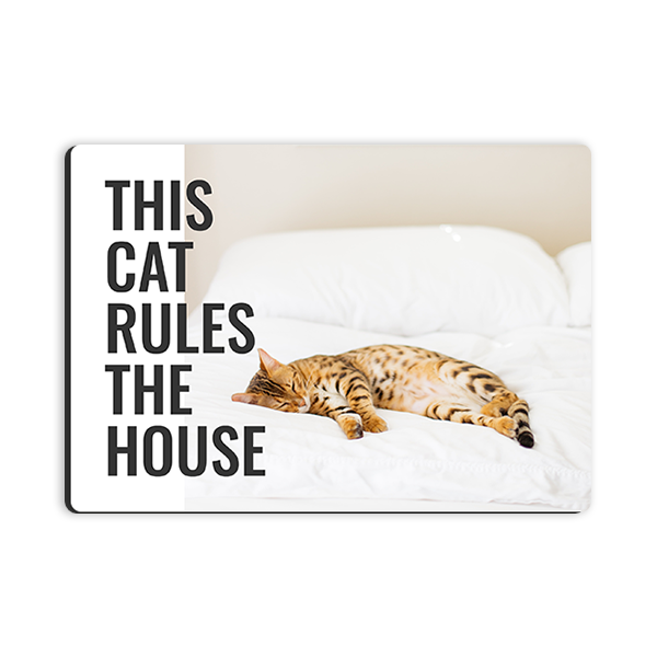 Cat Rules the House Tabletop in White | Tabletop Panel | FOREVER.com