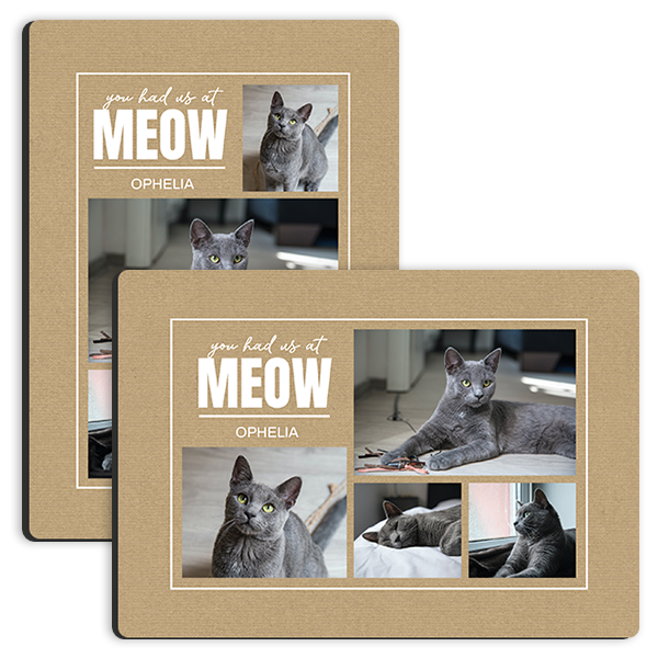 You Had Us at Meow Tabletop | Tabletop Panel | FOREVER.com