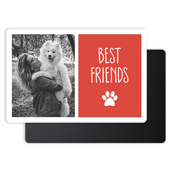Furry Best Friend Magnet | Magnet | FOREVER.com