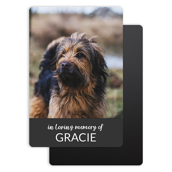 In Loving Memory Magnet | Magnet