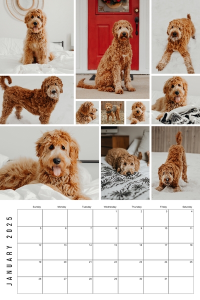 2025 Collage Calendar 12x18 | Digital Art