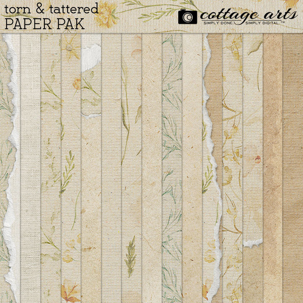 Torn & Tattered Collection | Digital Art
