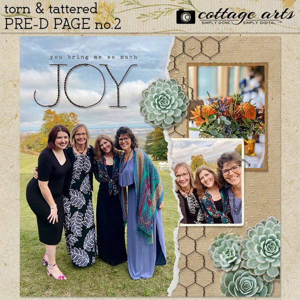 Torn Tattered Collection Digital Art