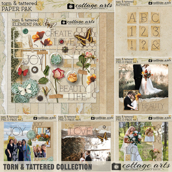Torn & Tattered AlphaSet | Digital Art
