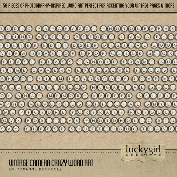 Camera Crazy Mega Bundle | Digital Art