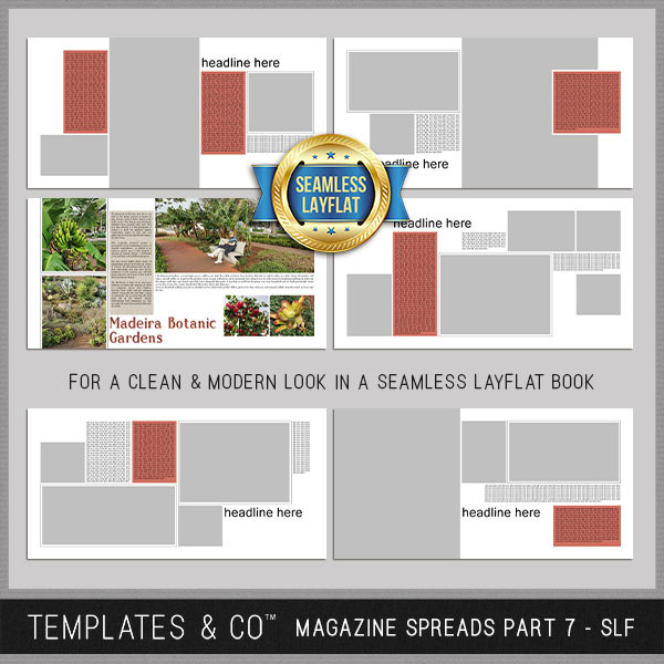 Magazine Spreads Part 7 - SLF | Digital Art