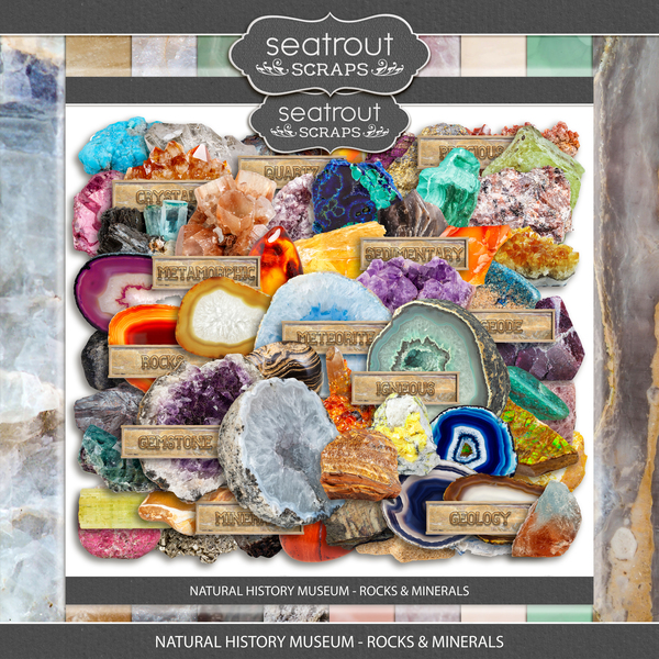 Natural History Museum - MegaBundle | Digital Art