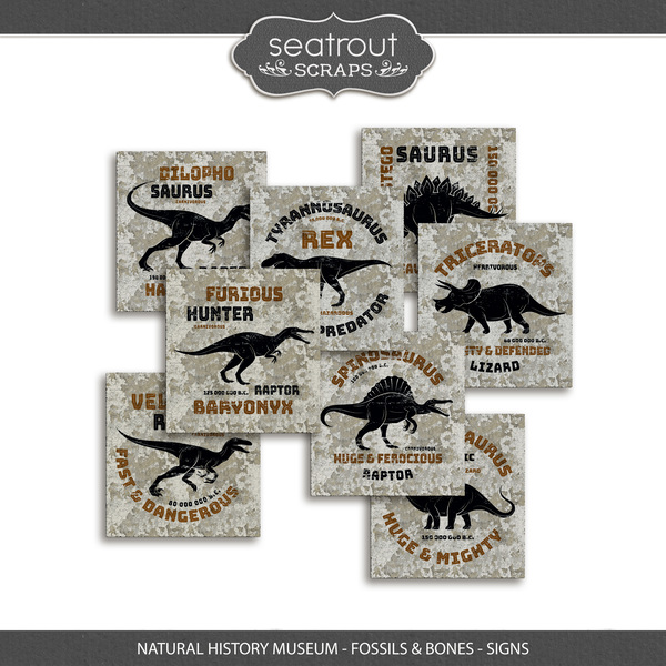 Natural History Museum - Fossils & Bones - Bundle | Digital Art
