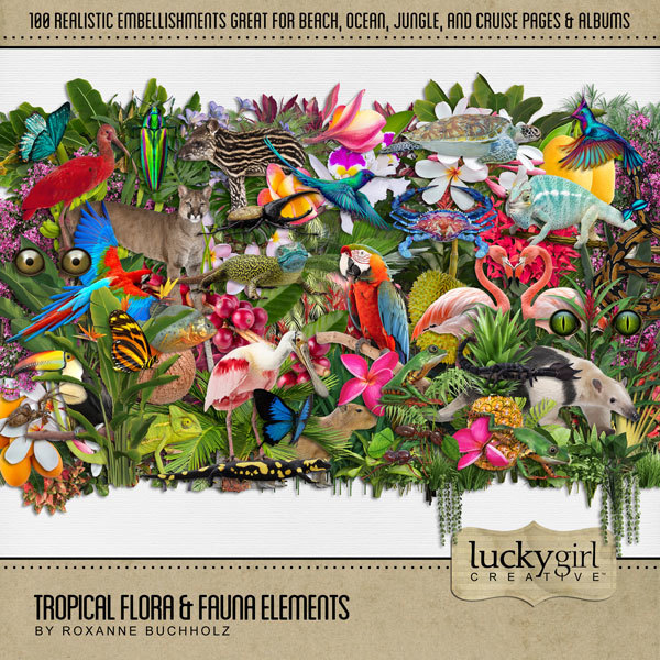 Tropical Flora & Fauna Mega Bundle | Digital Art