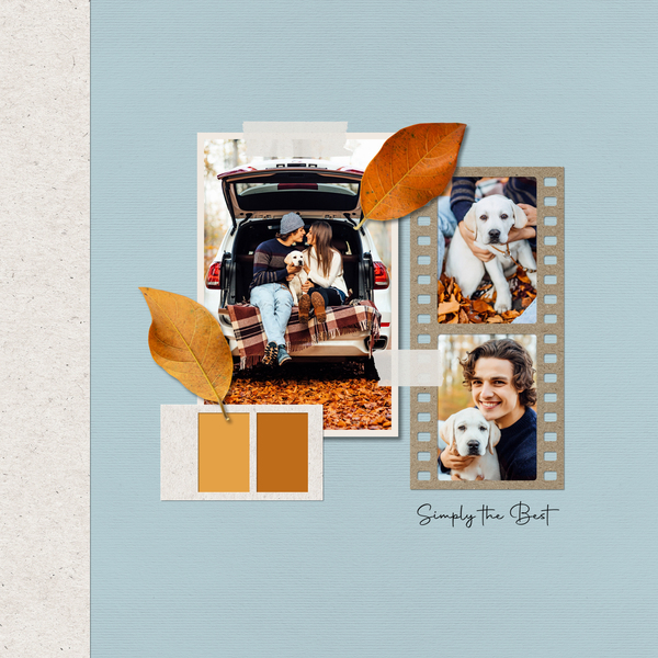 Color Story Page Builder Kit 2 | Digital Art