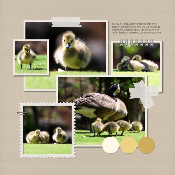 Color Story Book 1 | Digital Art