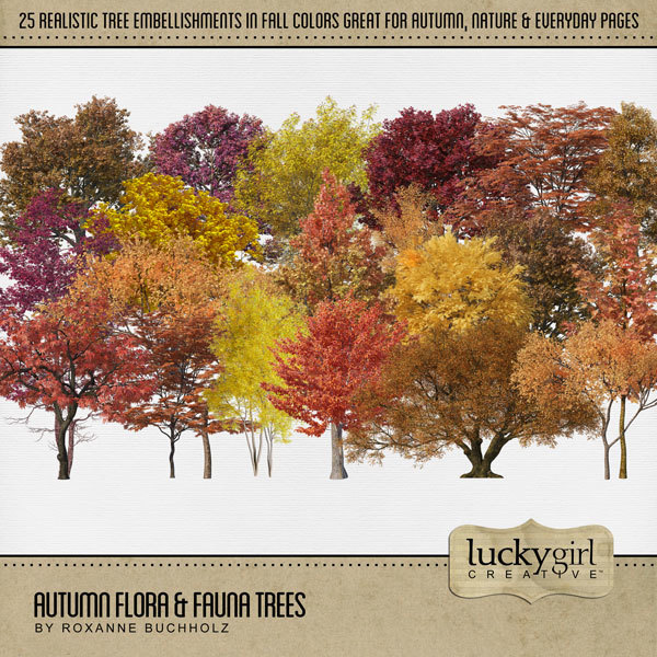Autumn Flora & Fauna Mega Bundle | Digital Art