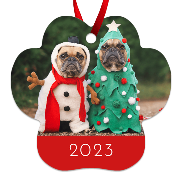 Color Block Paw Print | Ornament | FOREVER.com
