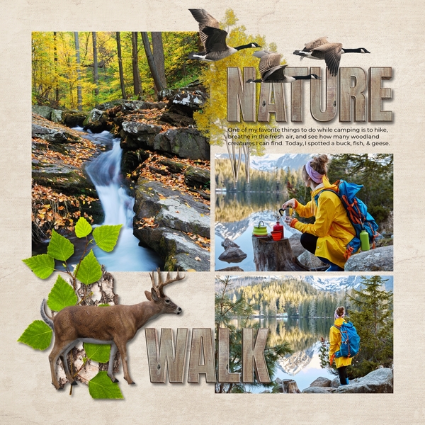 Autumn Flora & Fauna Word Art | Digital Art