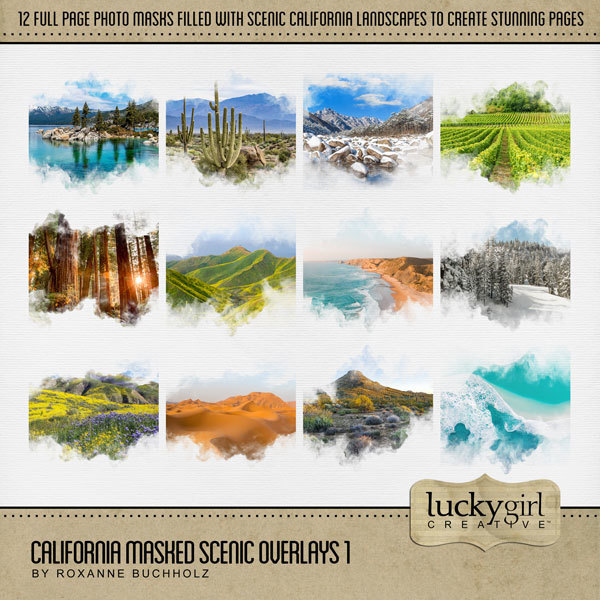 California Overlays Bundle | Digital Art
