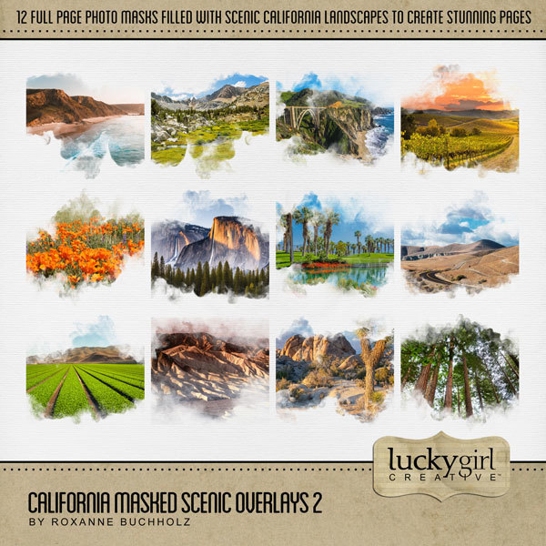 California Overlays Bundle | Digital Art
