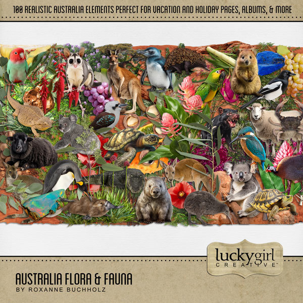 Australia Bundle | Digital Art