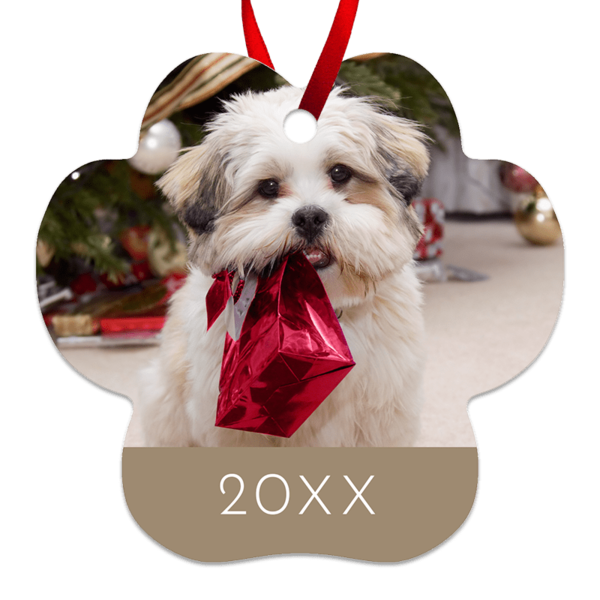 Color Block Paw Print | Ornament | FOREVER.com