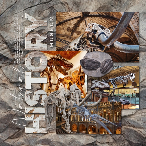 Museum Bundle 1 | Digital Art