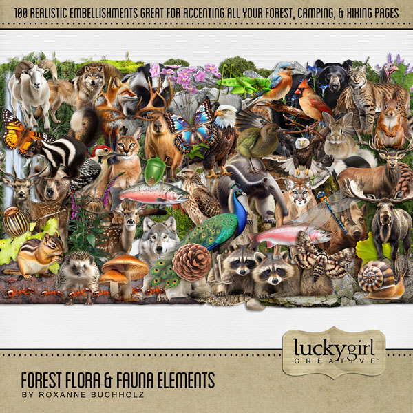 Forest Flora & Fauna Mega Bundle | Digital Art
