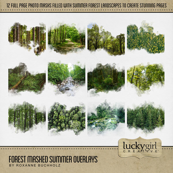 Forest Flora & Fauna Mega Bundle | Digital Art