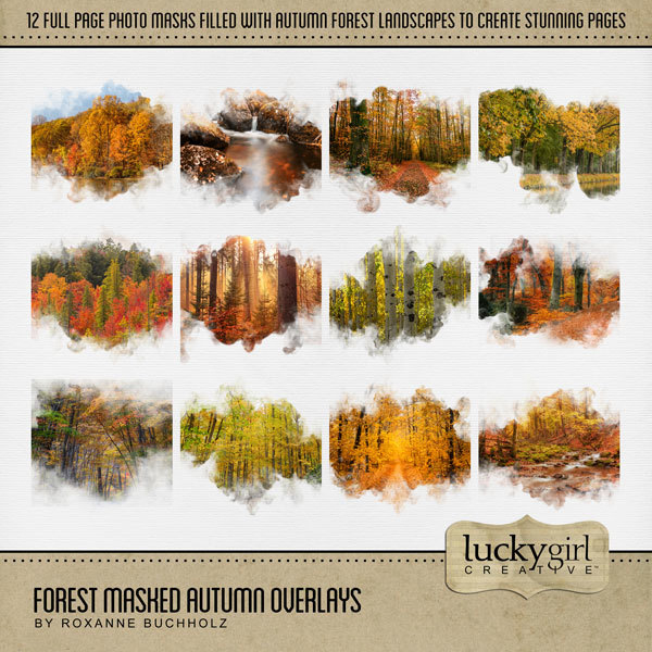Forest Flora & Fauna Mega Bundle | Digital Art