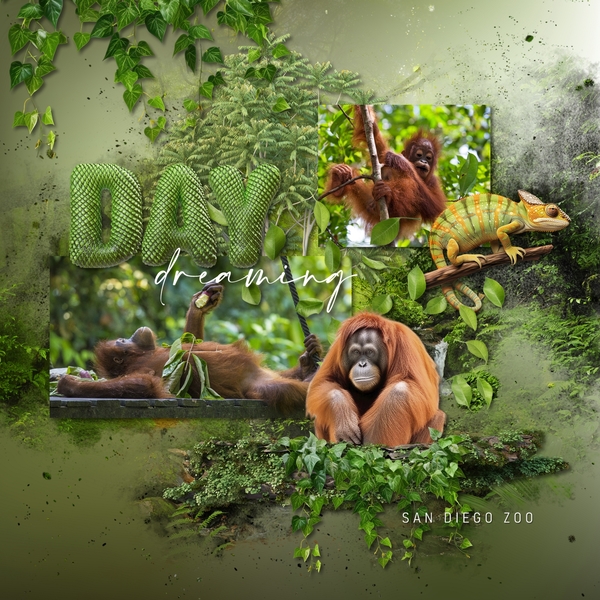 Jungle Reptile Alpha Set | Digital Art