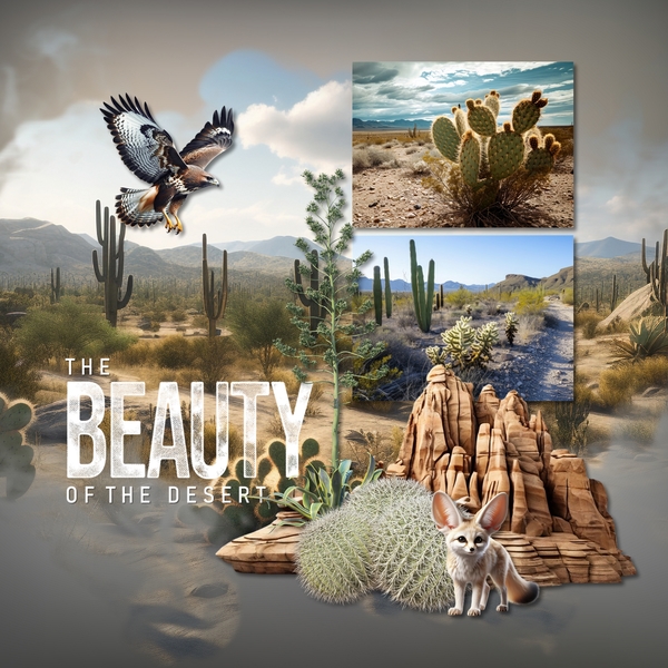 Desert Flora & Fauna Elements | Digital Art