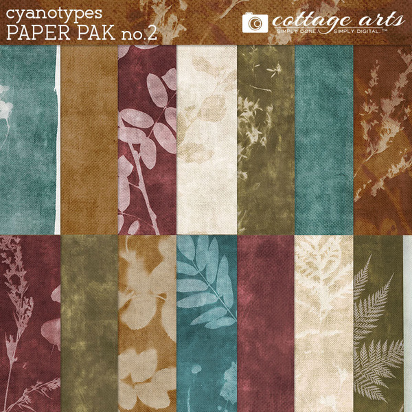 Cyanotypes 2 Collection | Digital Art