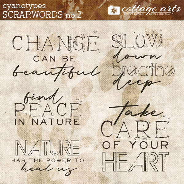 Cyanotypes 2 Collection | Digital Art