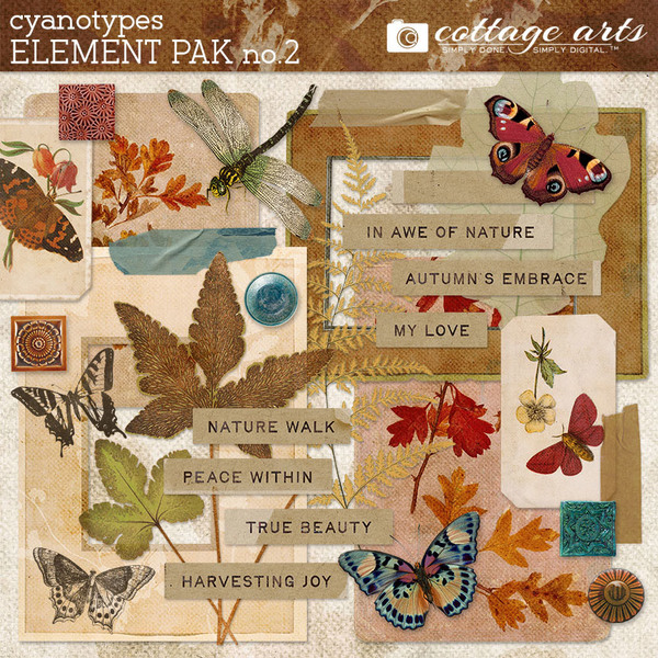 Cyanotypes 2 Collection | Digital Art