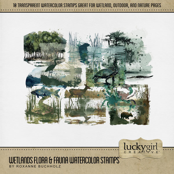 Wetlands Flora & Fauna Mega Bundle | Digital Art